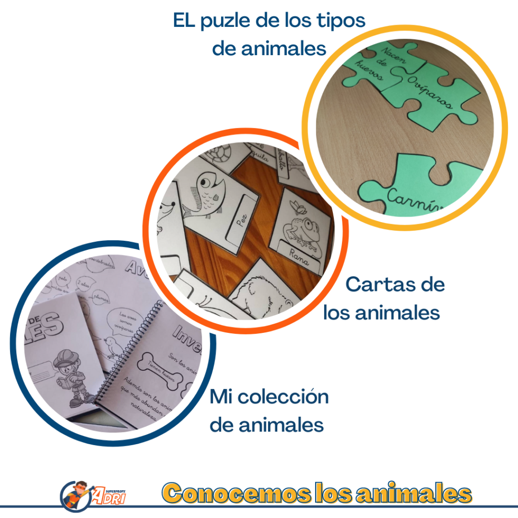 Conocemos los animales - Aula en Juego