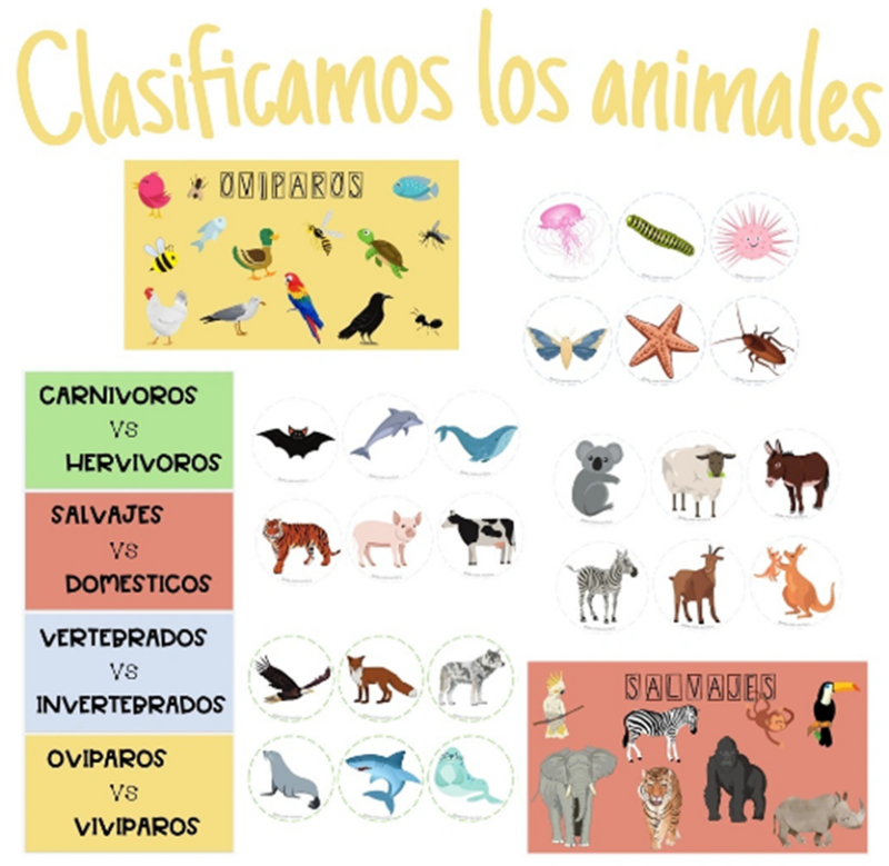Tipos de animales - Aula en Juego