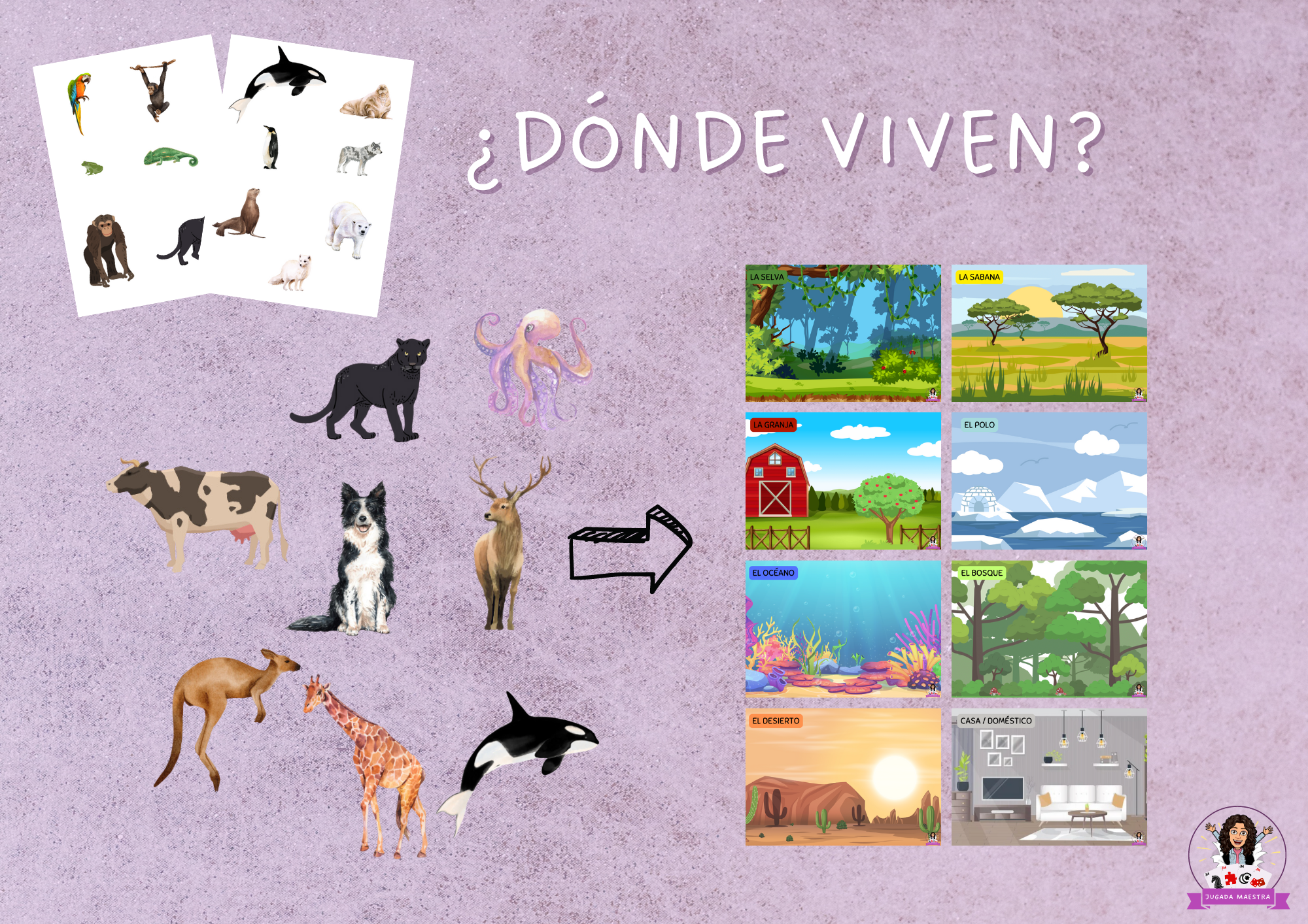 ¿Dónde viven? Animales y hábitats - Aula en Juego