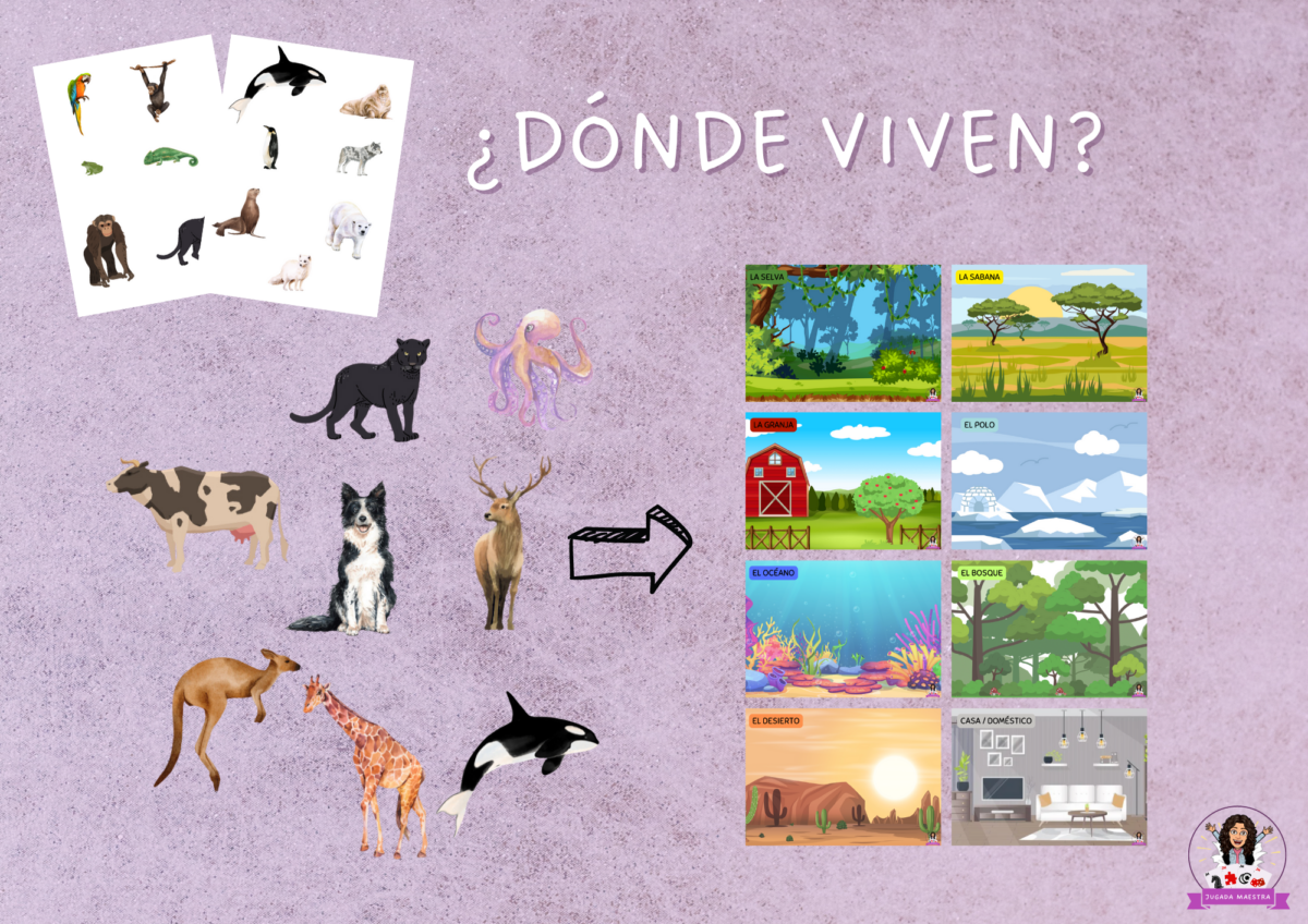 ¿Dónde viven? Animales y hábitats - Aula en Juego