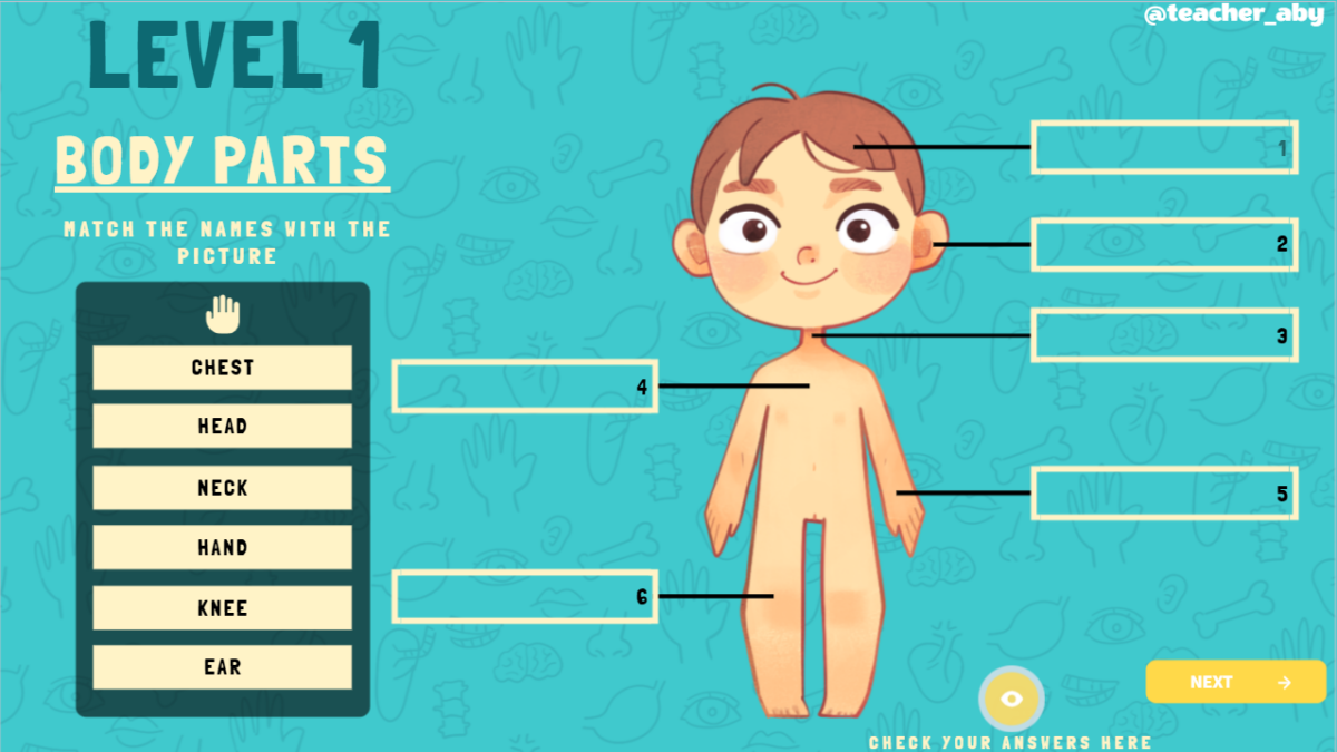 BODY PARTS. GAME FOR SCIENCE - Aula en Juego