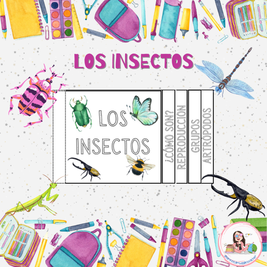 LOS INSECTOS - Aula en Juego