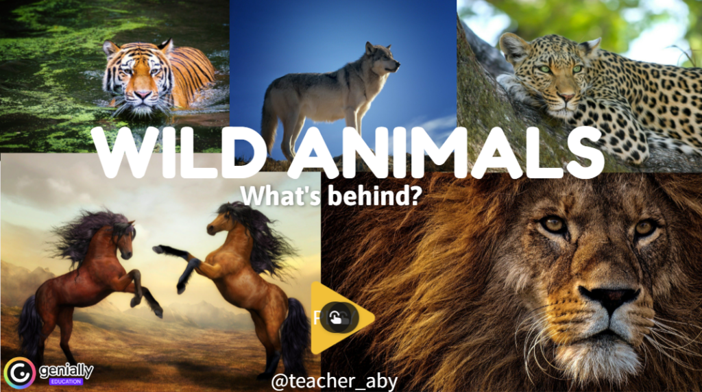 ANIMALS GAMES PACK - Aula en Juego